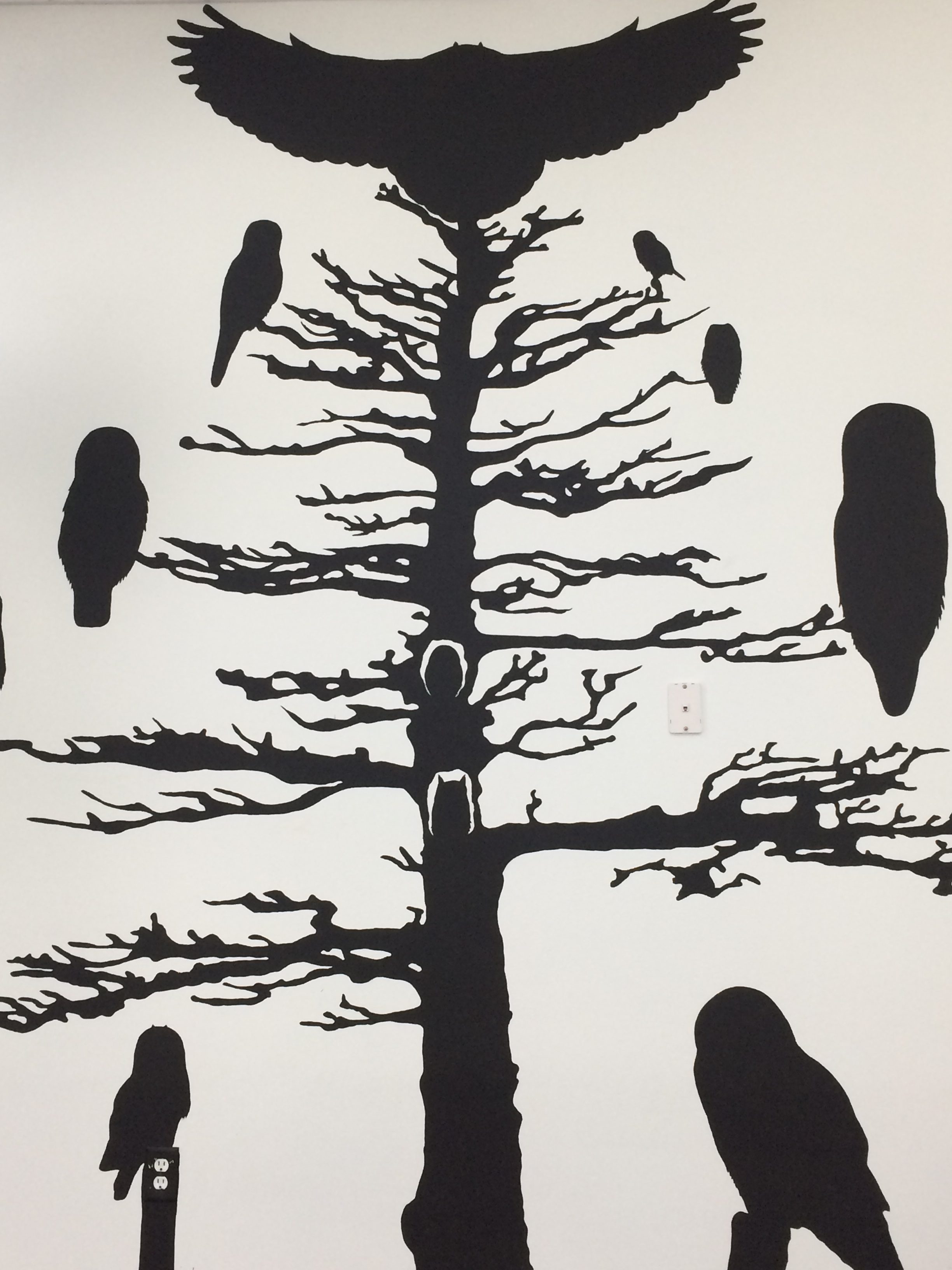 Hello Raptors! – Dogbark!